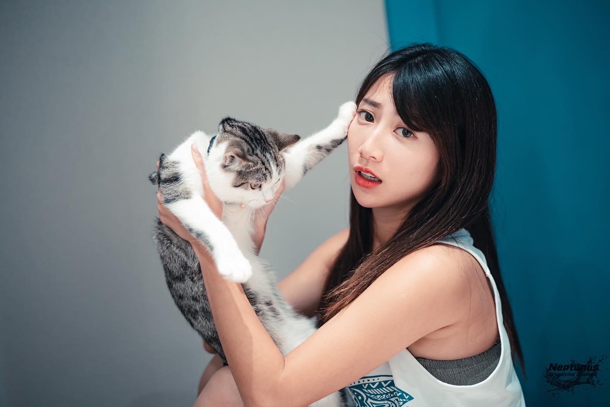 貓貓好像因為我比他可愛所以討厭我....... 我這麼可愛還不快快訂閱我 ⬇️⬇️⬇️ https://t.co/82y2KrJUBA @chuuu_0908 @JVID_official # ...