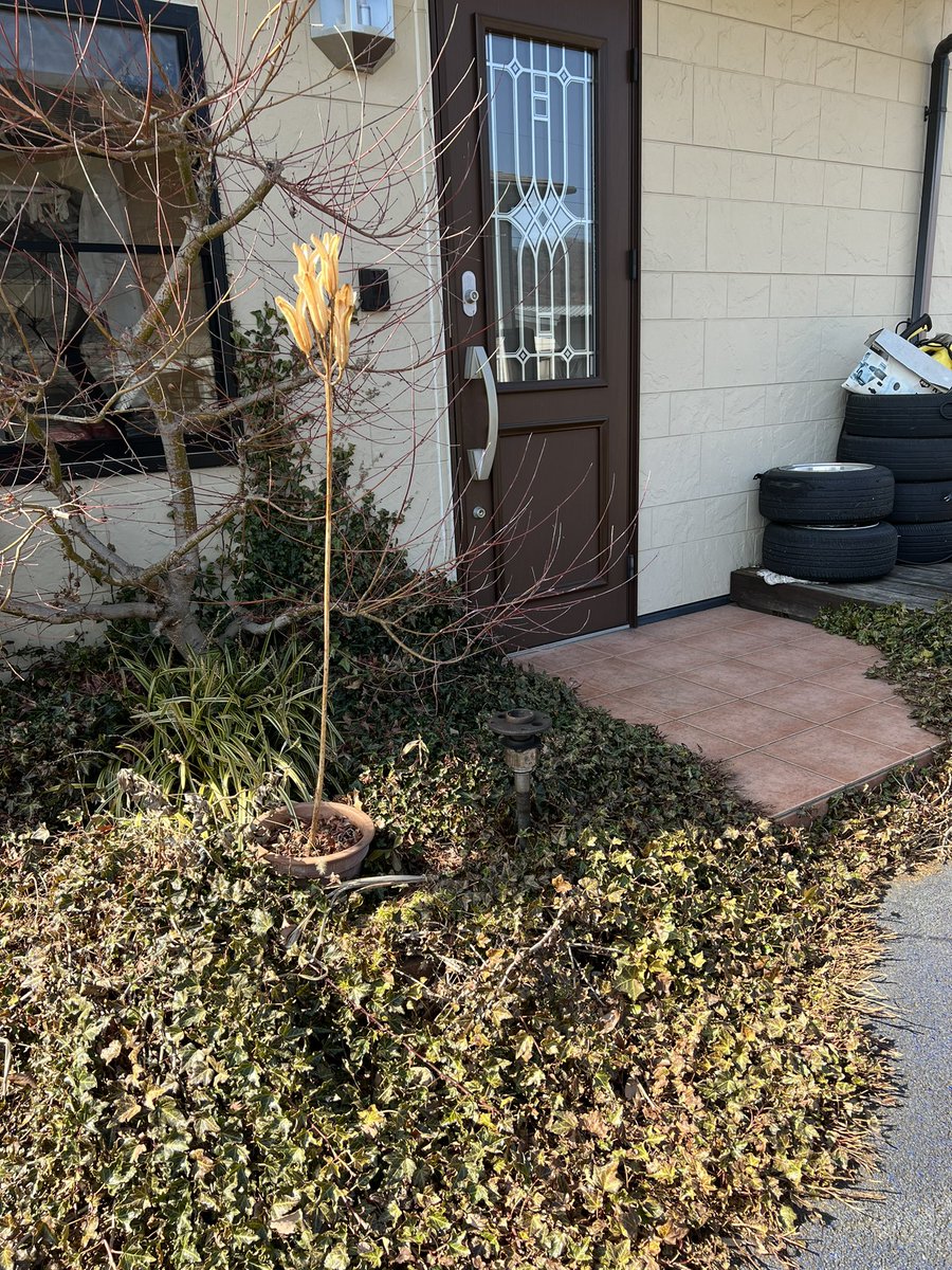 きょうさんの人気ツイート（新しい順） - ついふぁん！