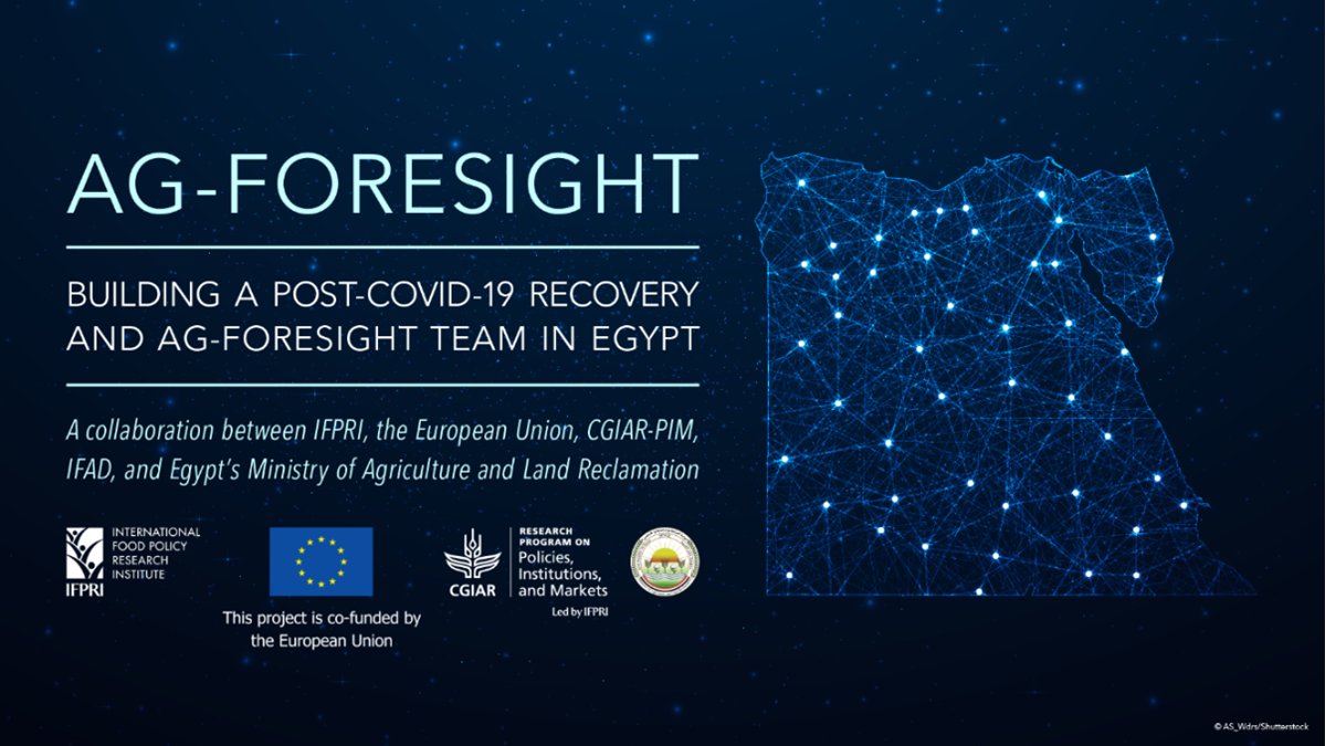 IFPRI Egypt on Twitter: "On Mar 14, @EUinEgypt & @IFPRI with 🇪🇬MALR will host the Ag-Foresight ...