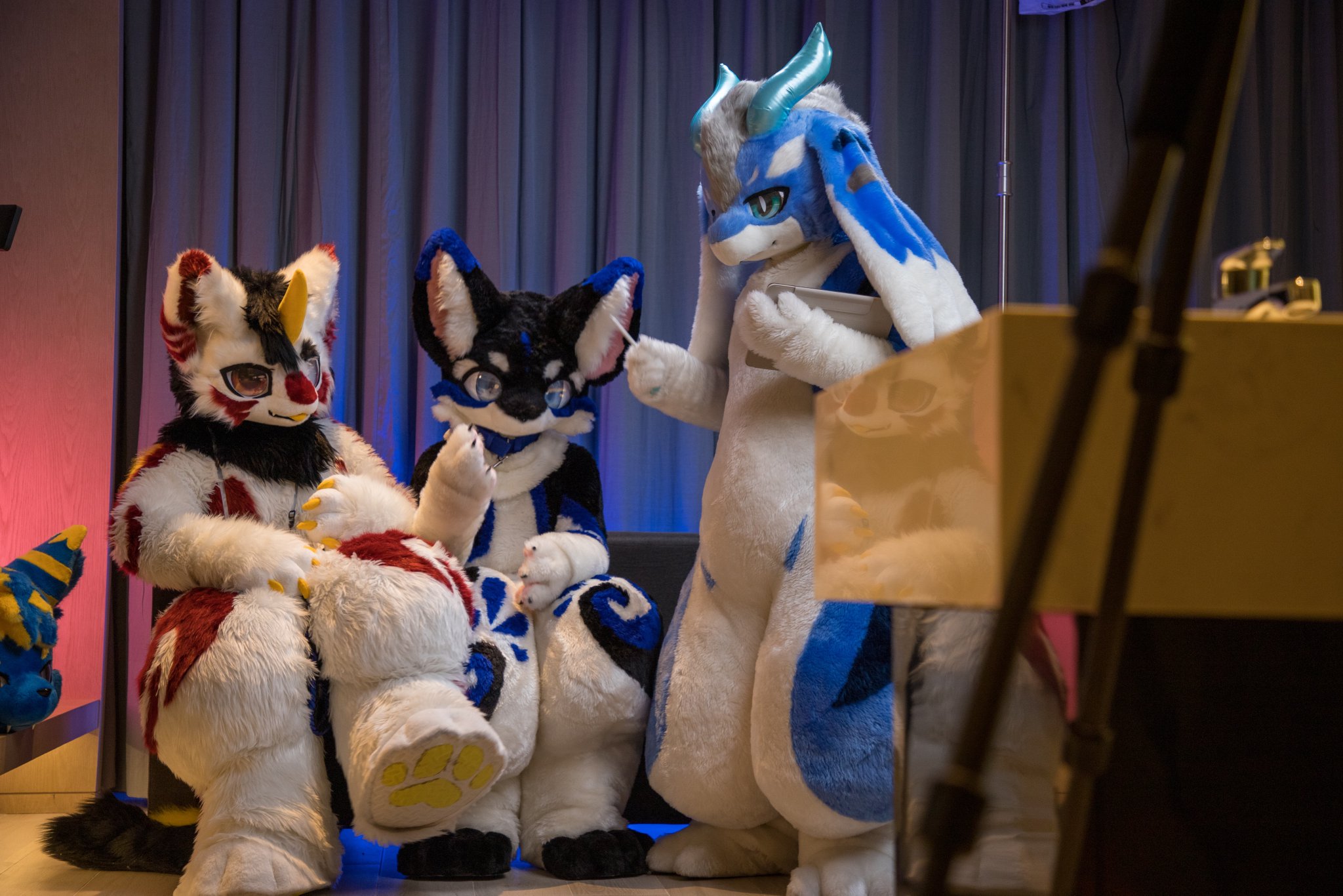 梓夏🐾Tsuha🐾ツハ@VRC🔜JMoF2023 on Twitter: "Missing furry party again. 📷: @FurfurN7 #FursuitFriday ...