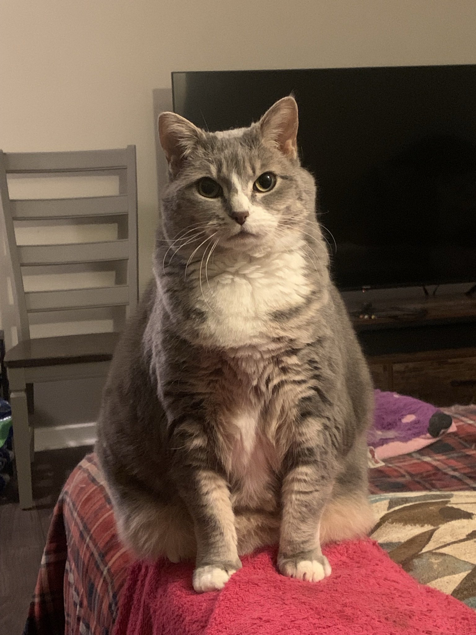 Nathan Barela (@nj_barela) / Twitter