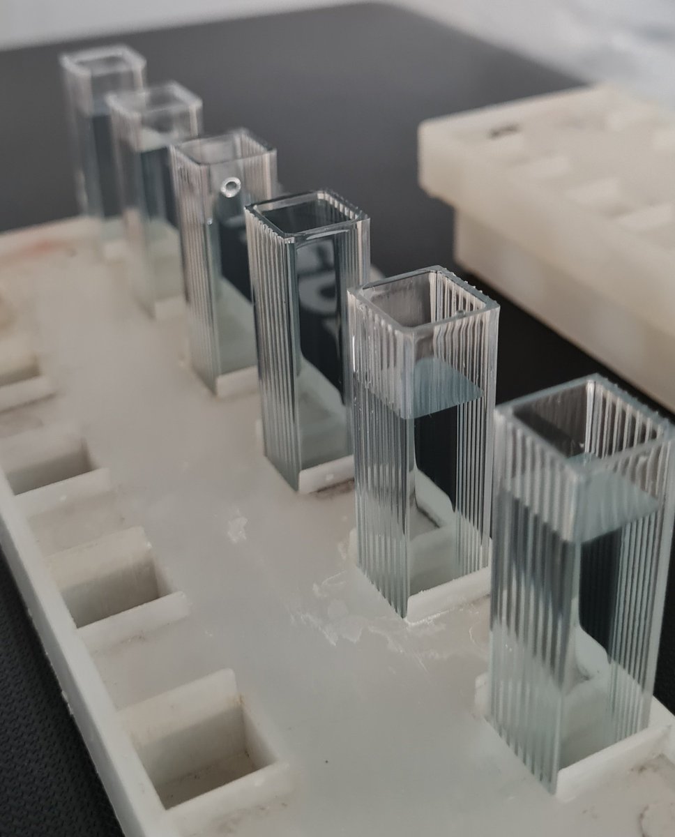 Beatrice Cavenago (@beacavenago) | Twitter