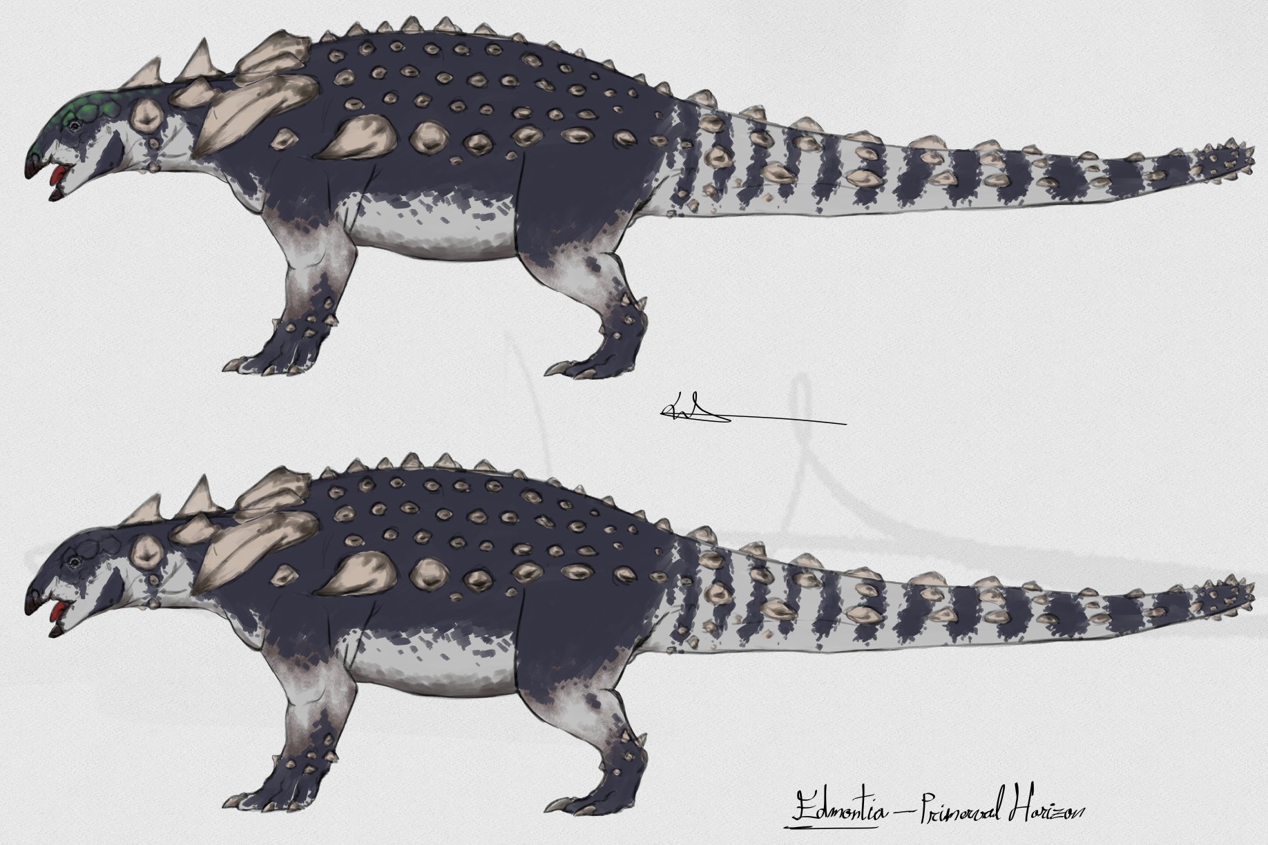 Edmontonia Vs Ankylosaurus
