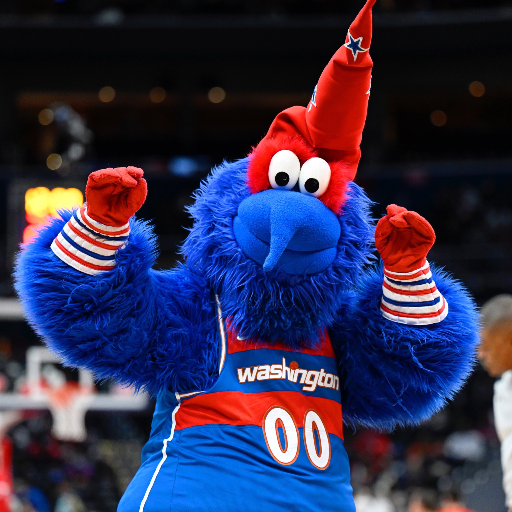 Wizards Mascot 2022