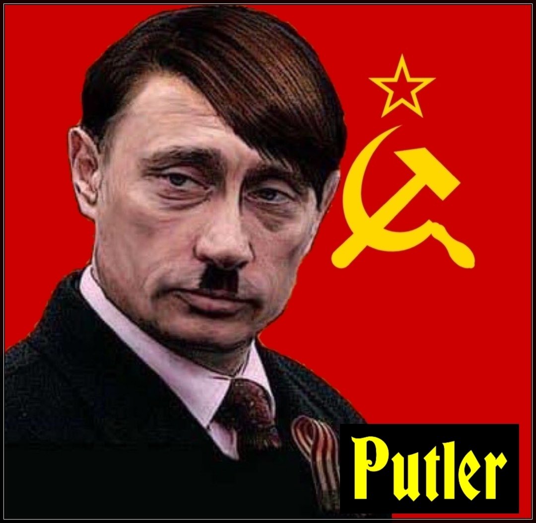 ウクライナ情勢 1263