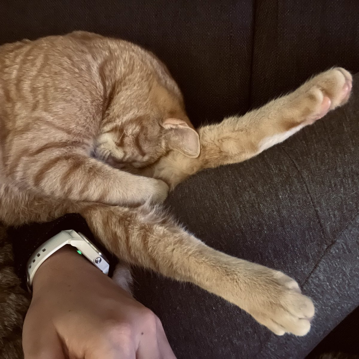 Toby & Phoebe (@toby_en_phoebe) | Twitter