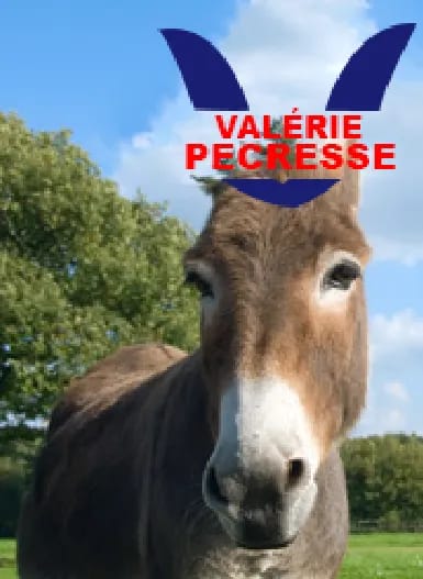 Diff (@DiffTrouvaille) | Twitter