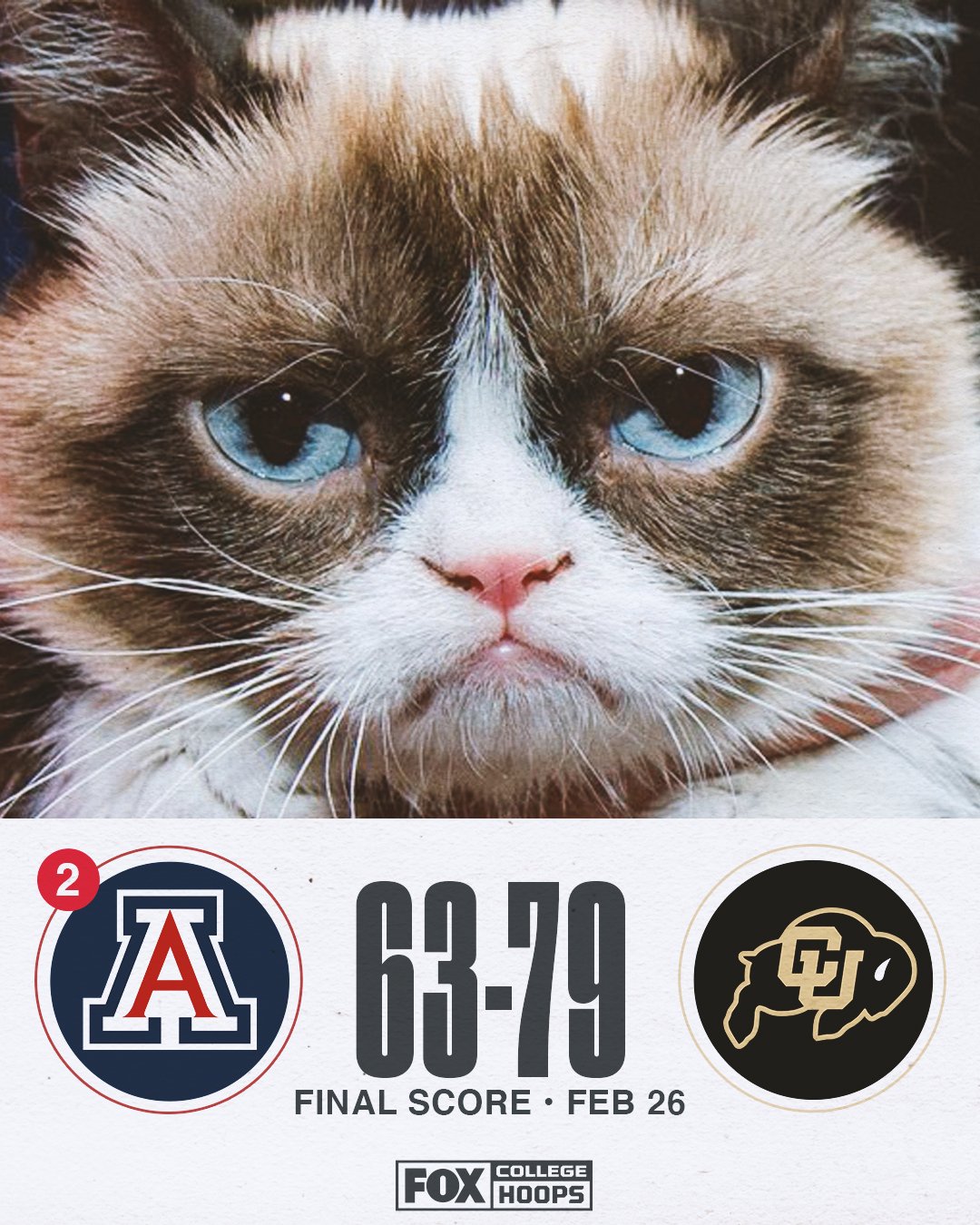 Grumpy Cat College