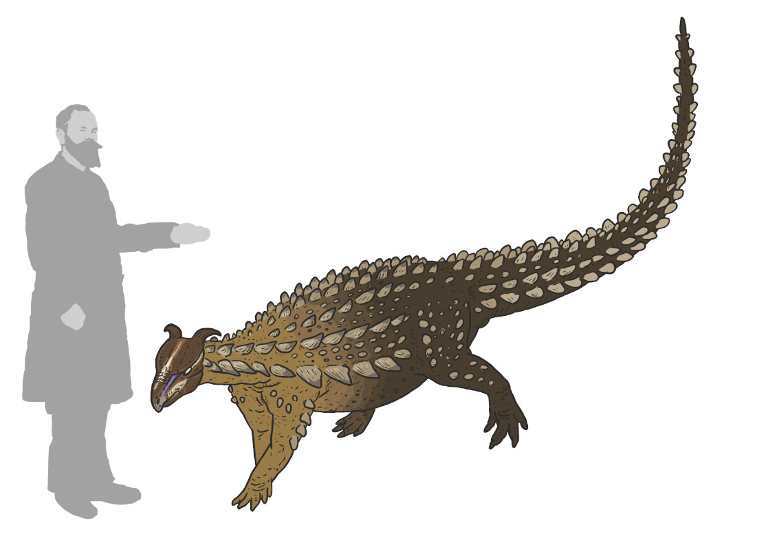 Scelidosaurus