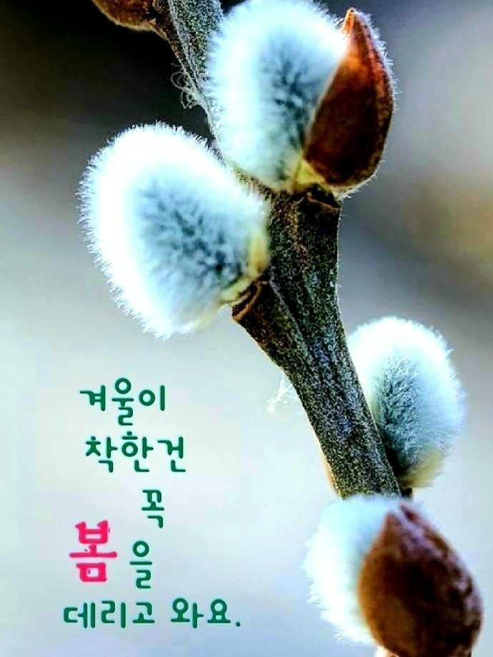 살다 보면 수시로 피할 수 없는 운명과 맞닥뜨리는 때가 있다 보통 그러한 때를 터닝포인트 라고 말한다 위기와 기회를 동시에 만나는 순간 절벽위의 여자 Jfx5p