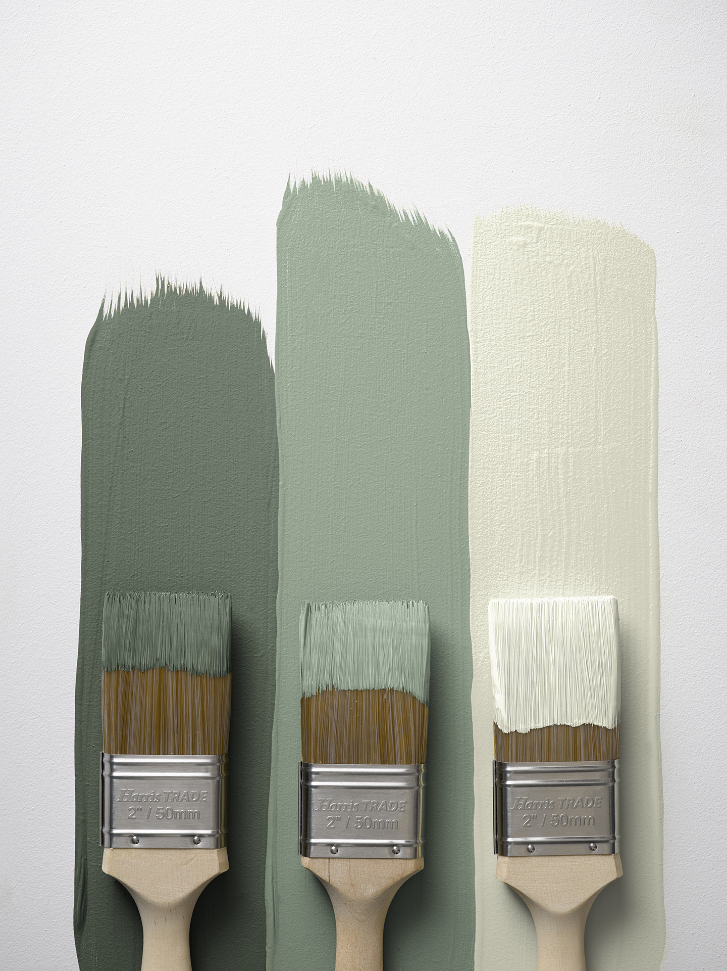 Crown Paint Sage Green Buy | www.oceanproperty.co.th