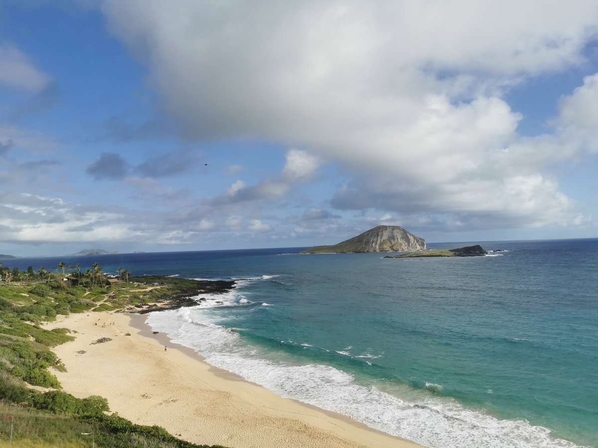 TW Pornstars - 1 pic. Miss Medea Mortelle. Twitter. Hawaii ist just ...