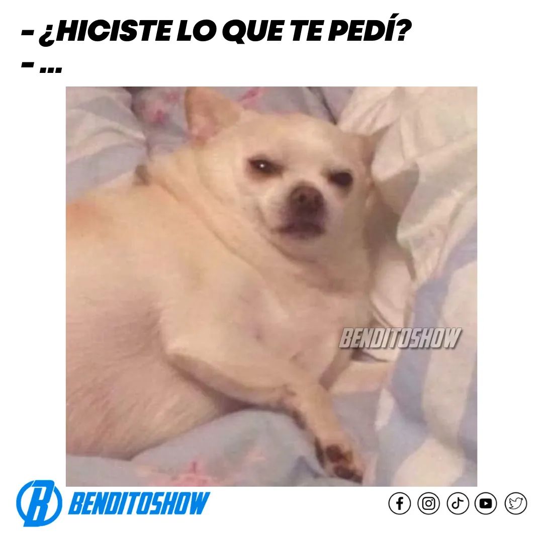 Memes Recien Levantado I Just Woke Up.. #viral #fyp #fypシ #funny