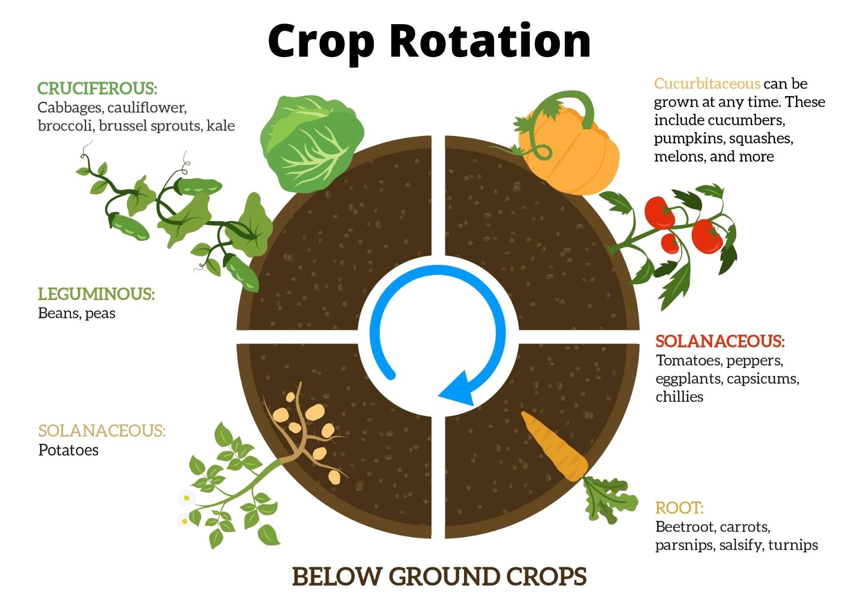 Crop Rotation
