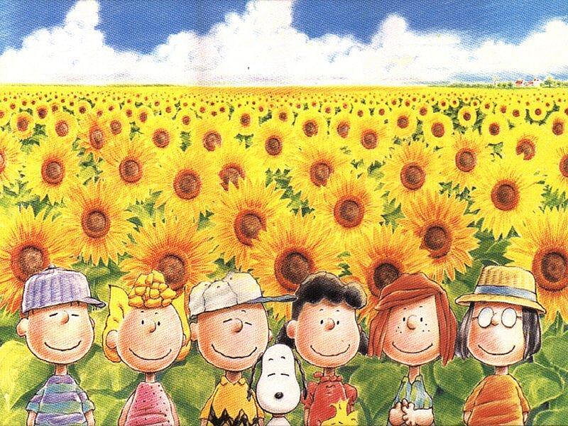 Snoopy Facts on Twitter: "When the sunflowers bloom! #snoopy # ...