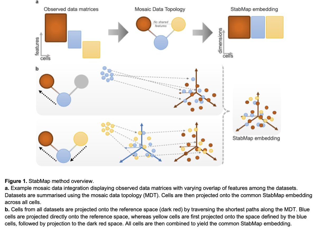 YUHAN HAO (@YUHANHAO2) | Twitter
