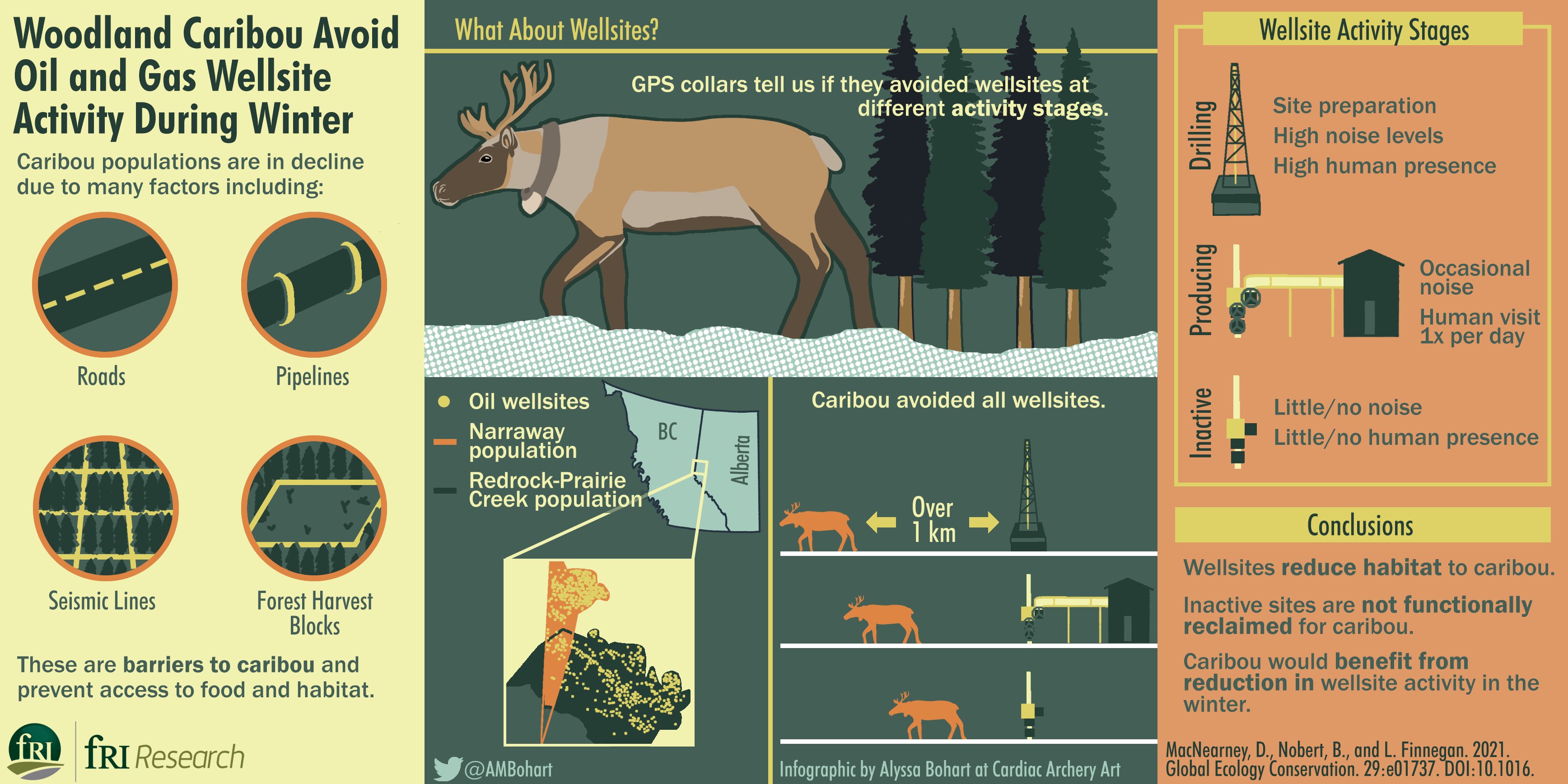 Woodland Caribou Habitat