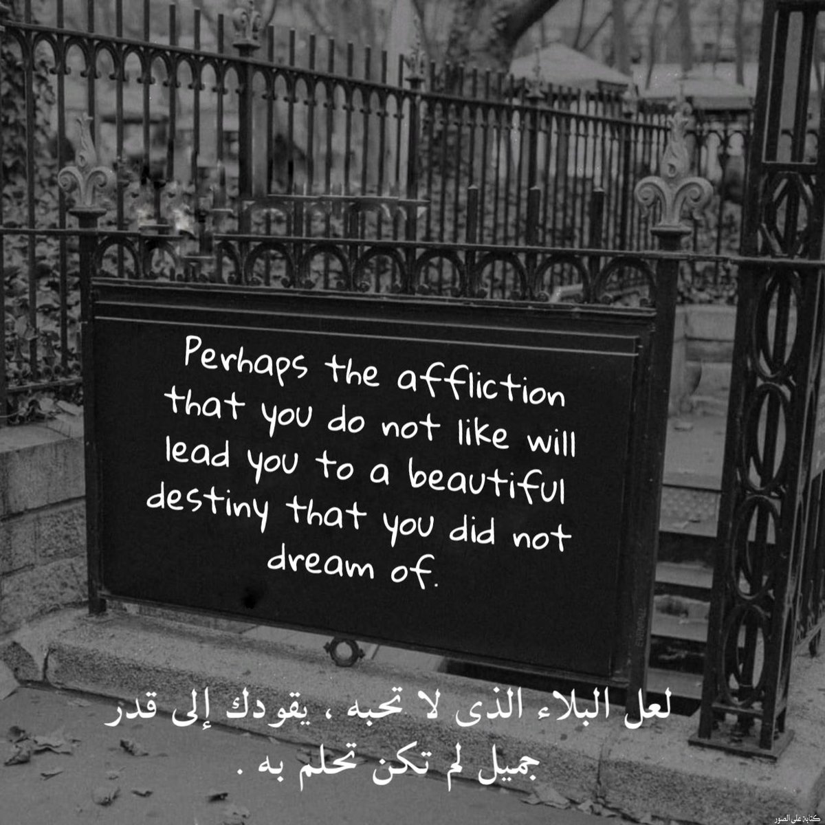 Khalid Edrees (@KhalidEdrees4) | Twitter