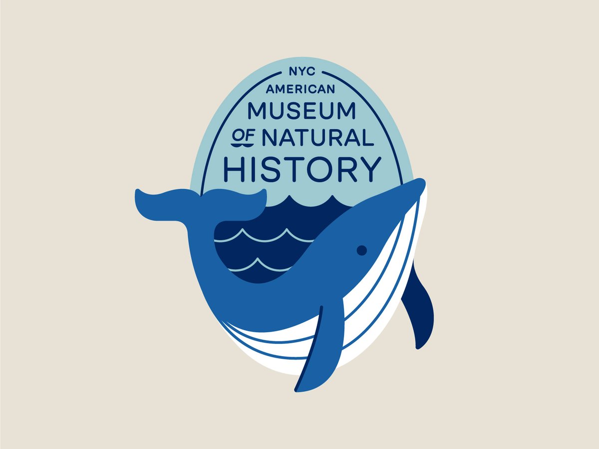 American Museum Of Natural History Logo