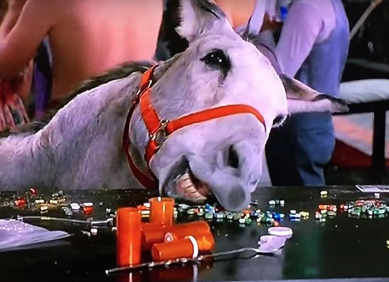 Bachelor Party Donkey