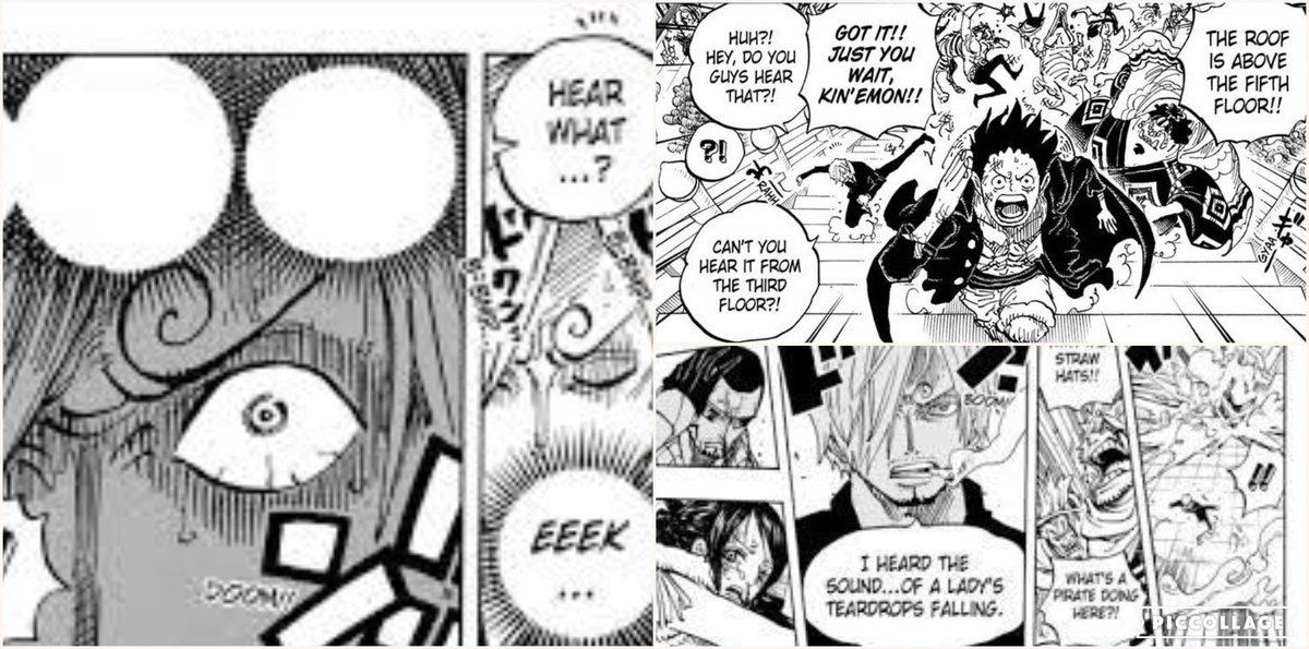 Marimo Zoro Kaizoku Marimo Twitter