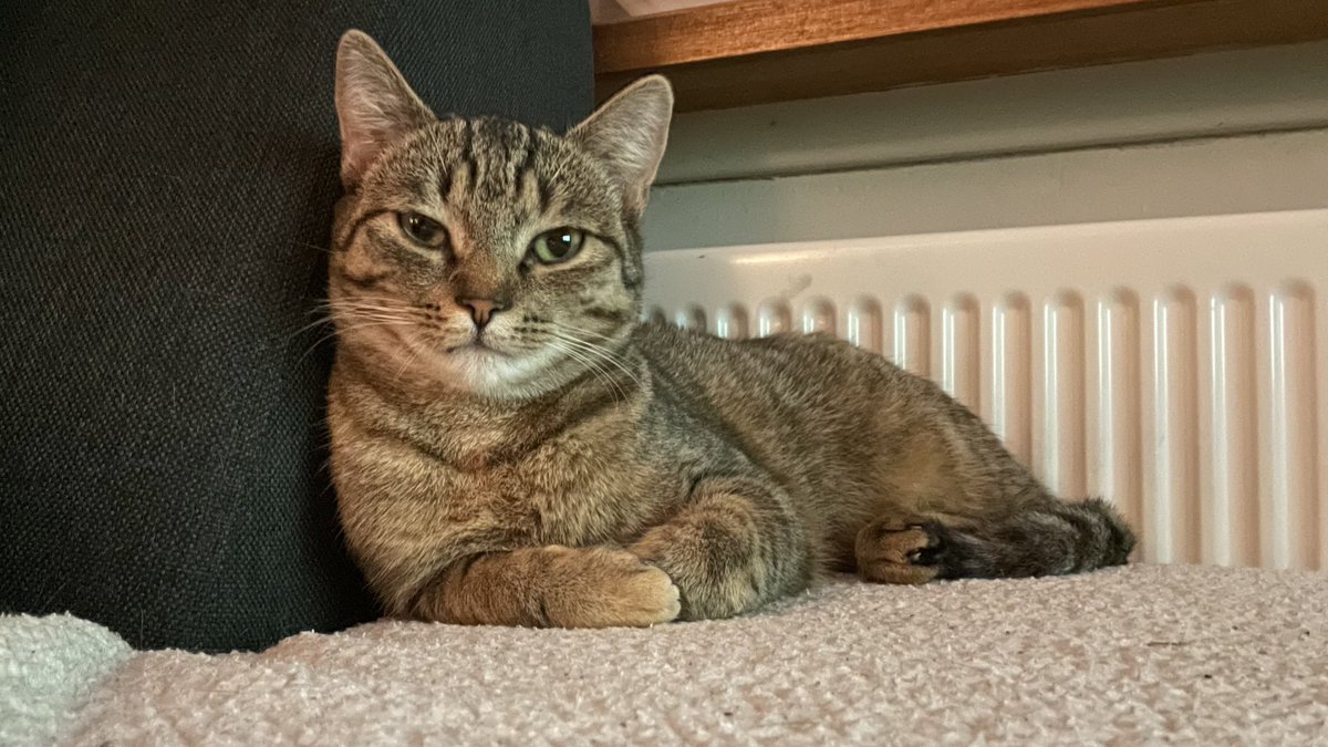 Toby & Phoebe (@toby_en_phoebe) | Twitter