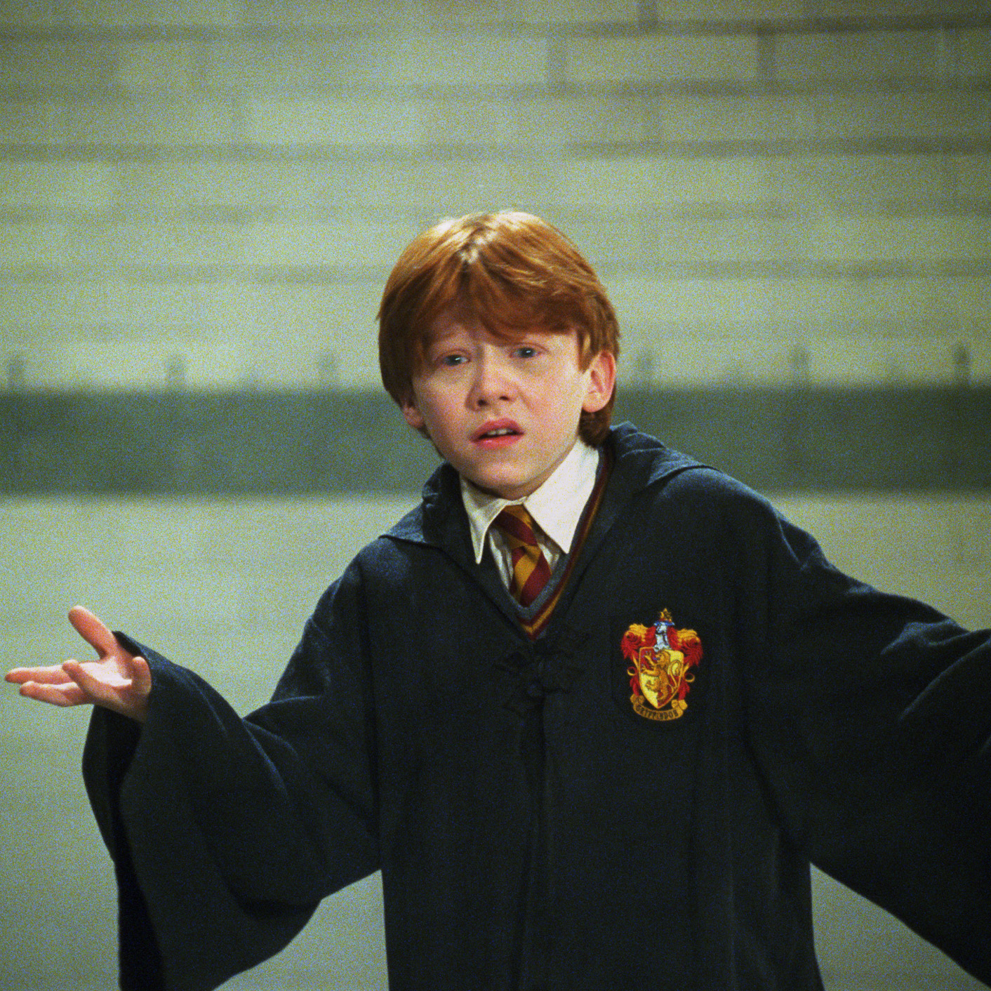Ron Weasley Harry Potter