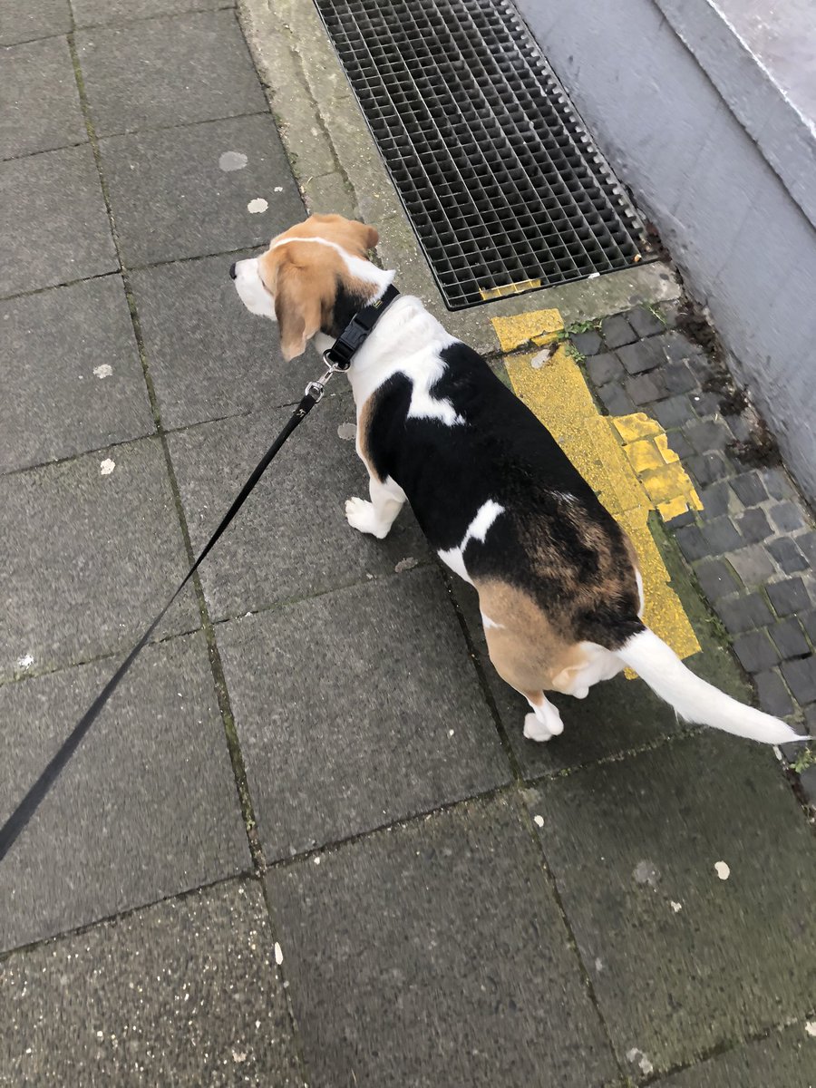 Nic (@avatar_nic) | Twitter