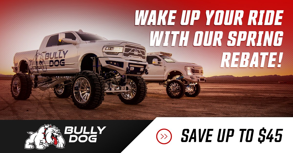 Bully Dog Truck