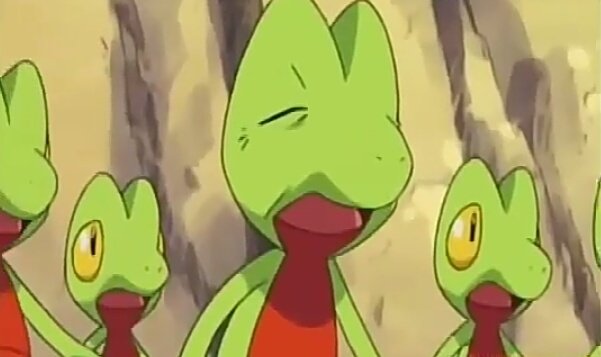 Pokemon Treecko Evolution