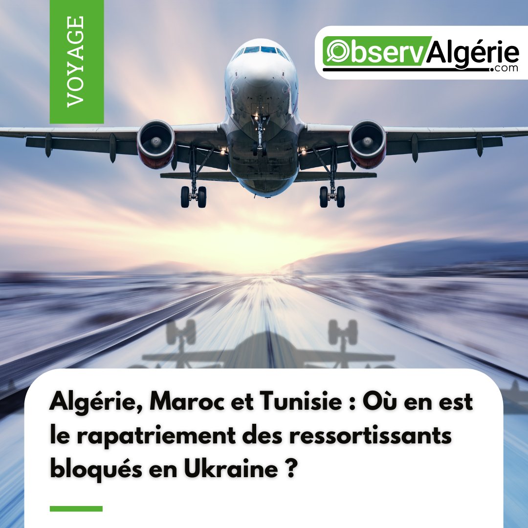 ObservAlgérie on Twitter: "Algérie, Maroc et Tunisie : Où en est le rapatriement des ...