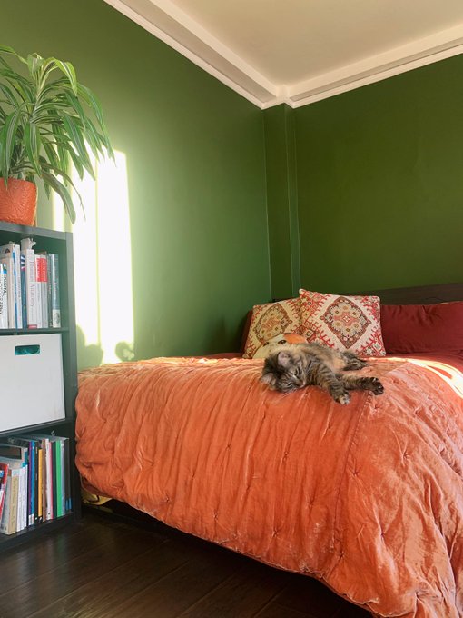 TW Pornstars - Mari Sappho. Pictures and videos from Twitter. Page 7