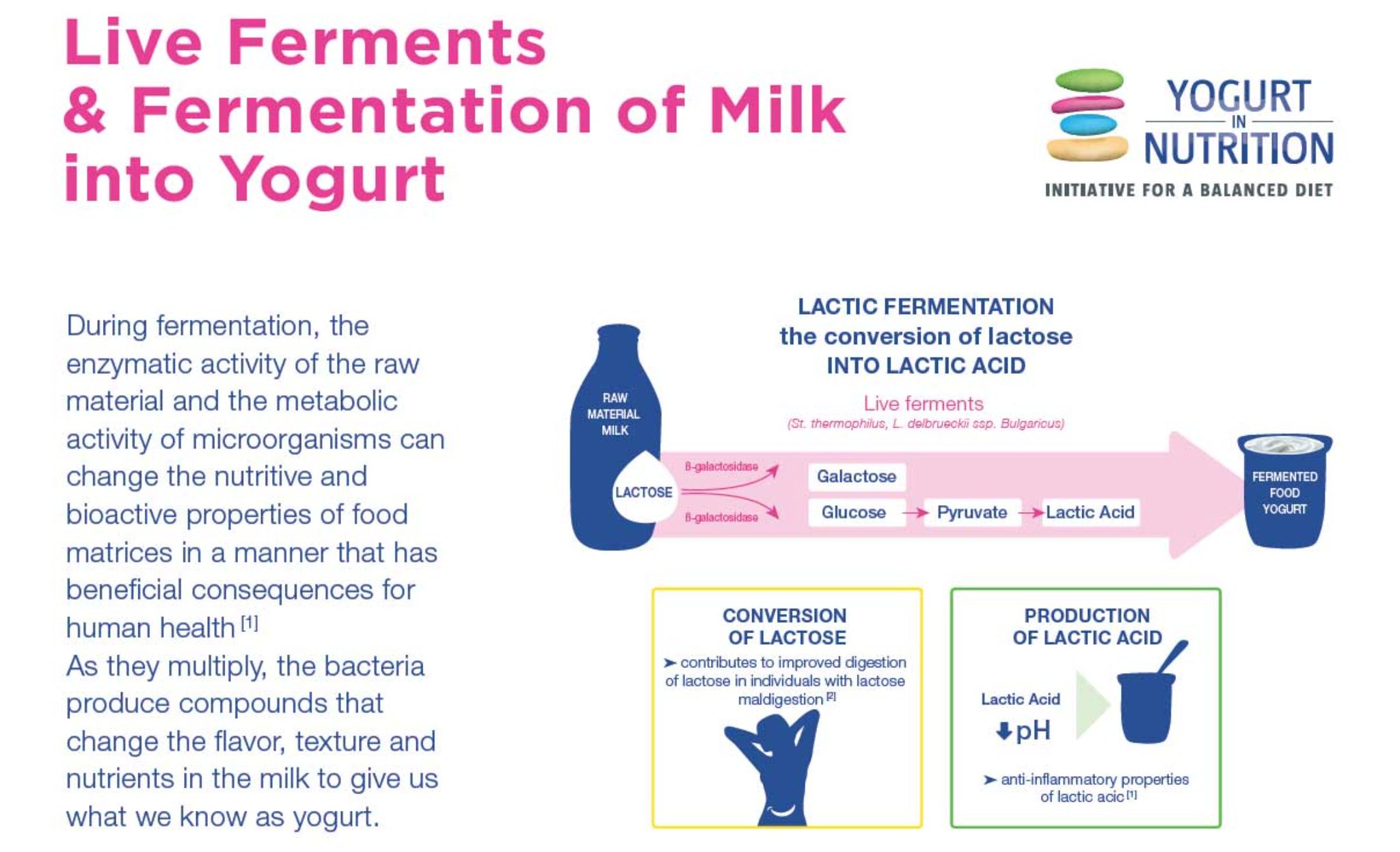 Microorganisms In Yogurt Probiotics Microorganisms. Sample Diagram