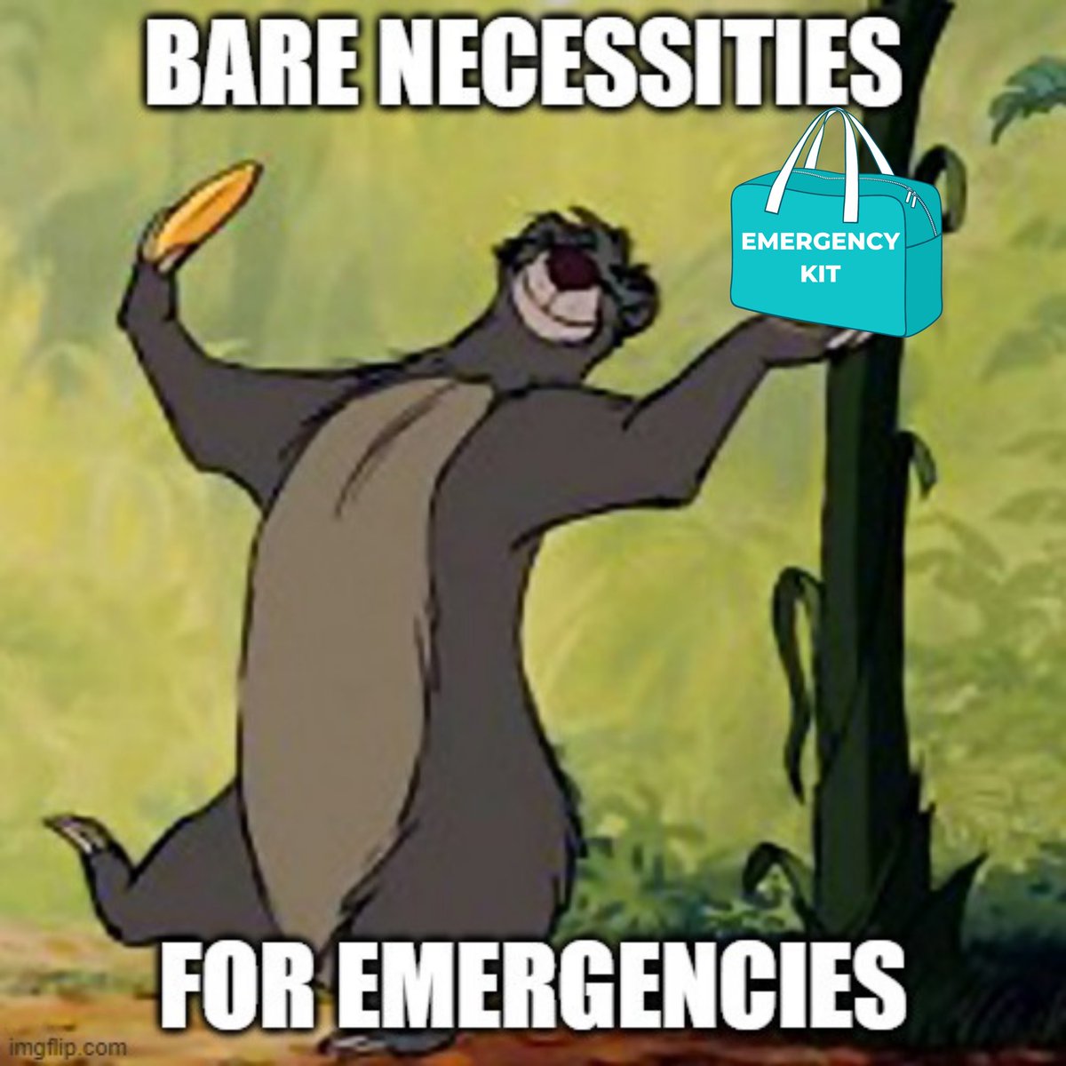 Emergency Management Memes Memes Improve Learning And Attitude Towards