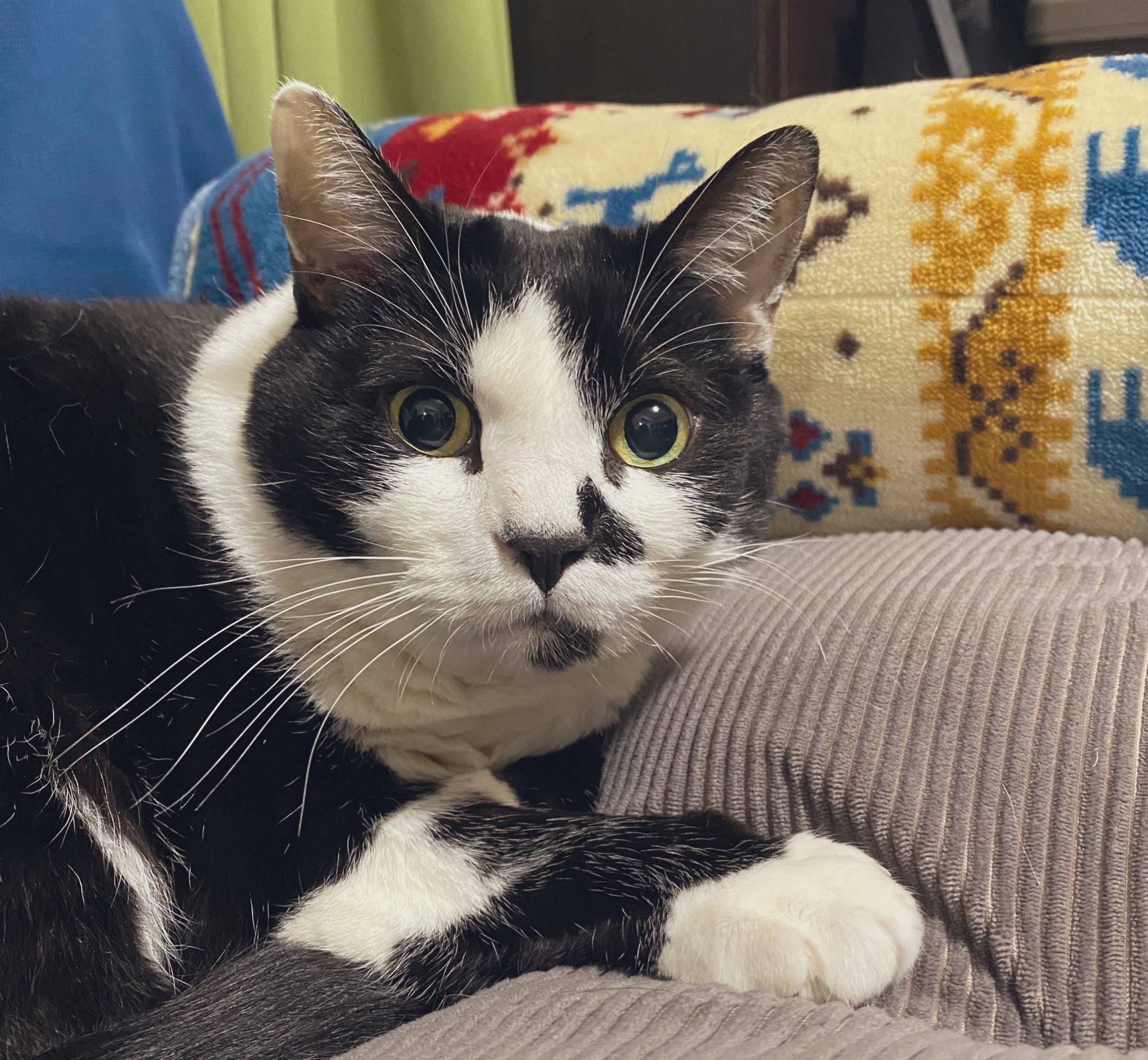 HiroK@Inst制作 on Twitter: "おはようー(*´꒳`*) 眠い🥱 今日は色々詰まってるから気合い入れないと！ 海行きたい... https://t.co ...