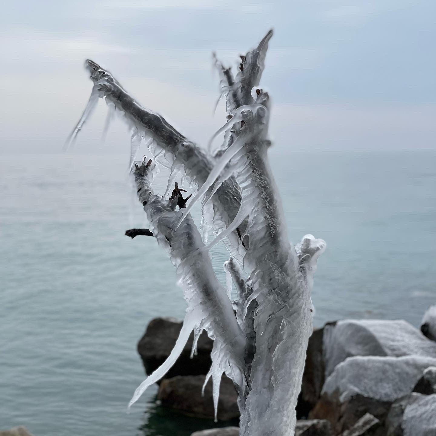 dima.eth on Twitter: "https://t.co/vDaerGP0Sh" / Twitter