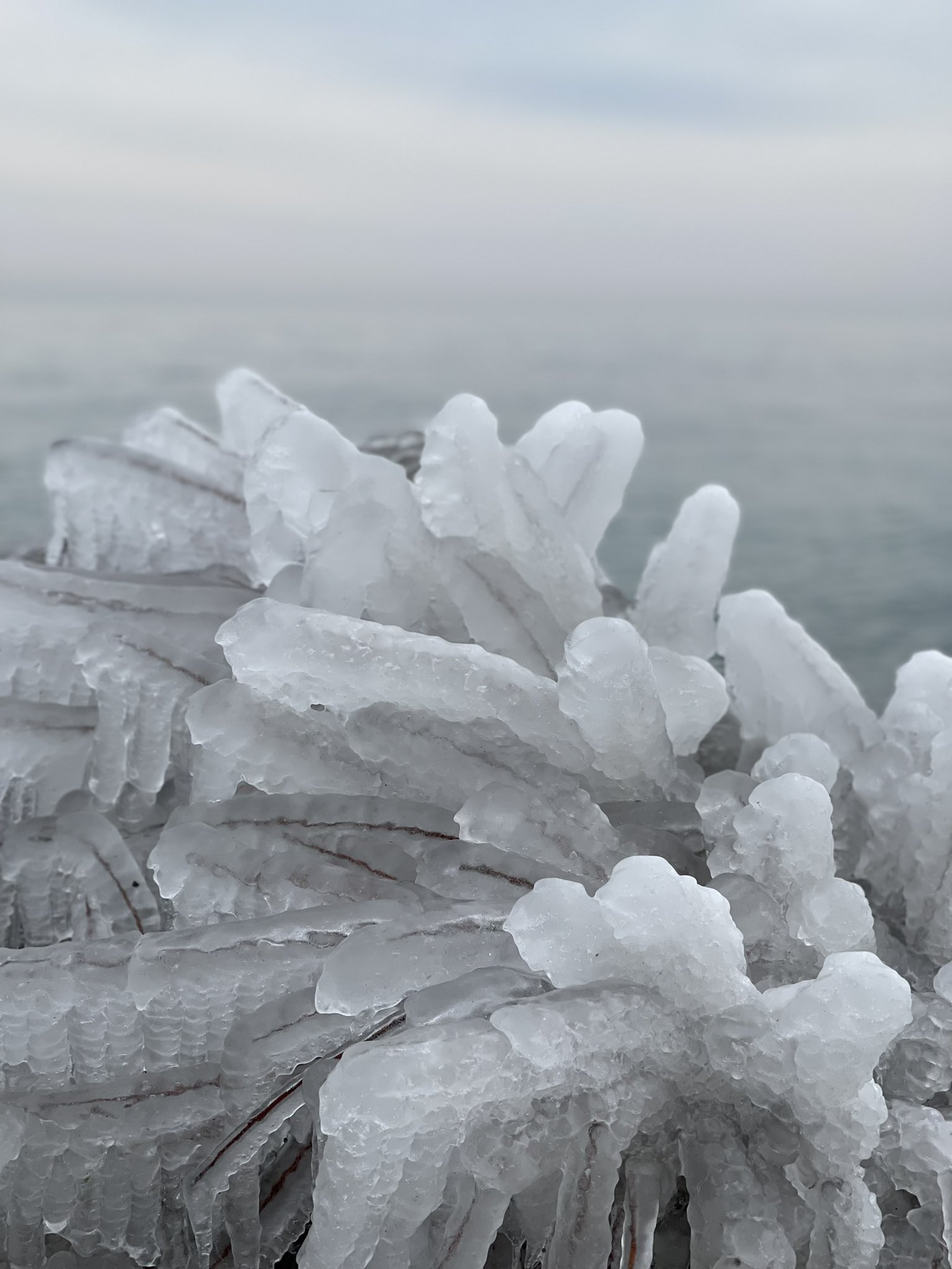 dima.eth on Twitter: "https://t.co/vDaerGP0Sh" / Twitter