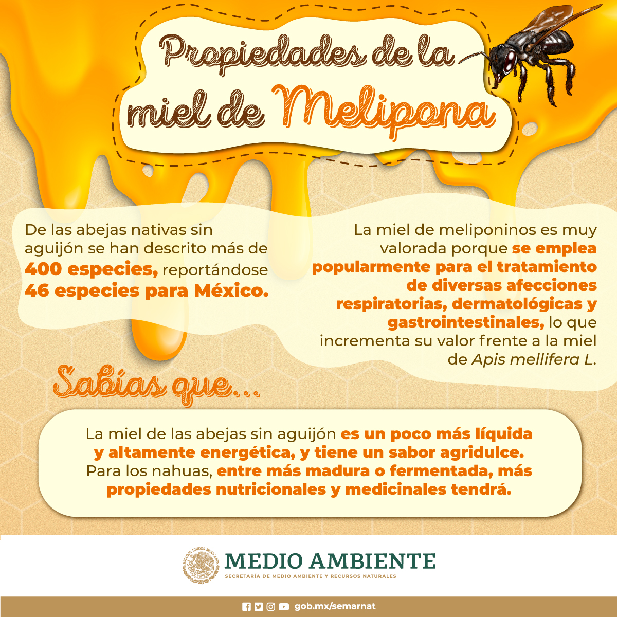 SEMARNAT México on Twitter: SEMARNAT México on Twitter: