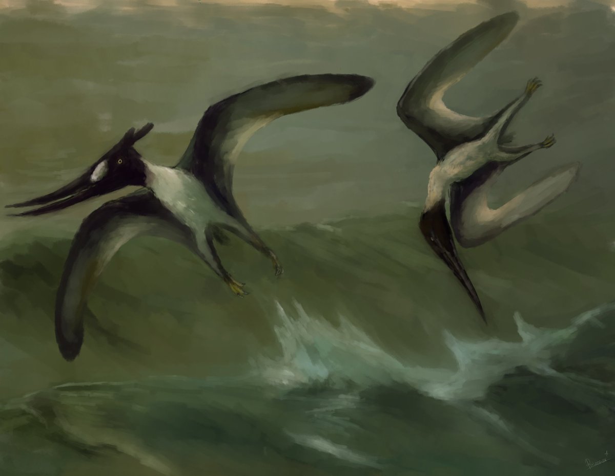 Eumaniraptora art 🎨 (@Paleoraptor_) さんのイラスト・マンガ作品まとめ (112 件) - Twoucan