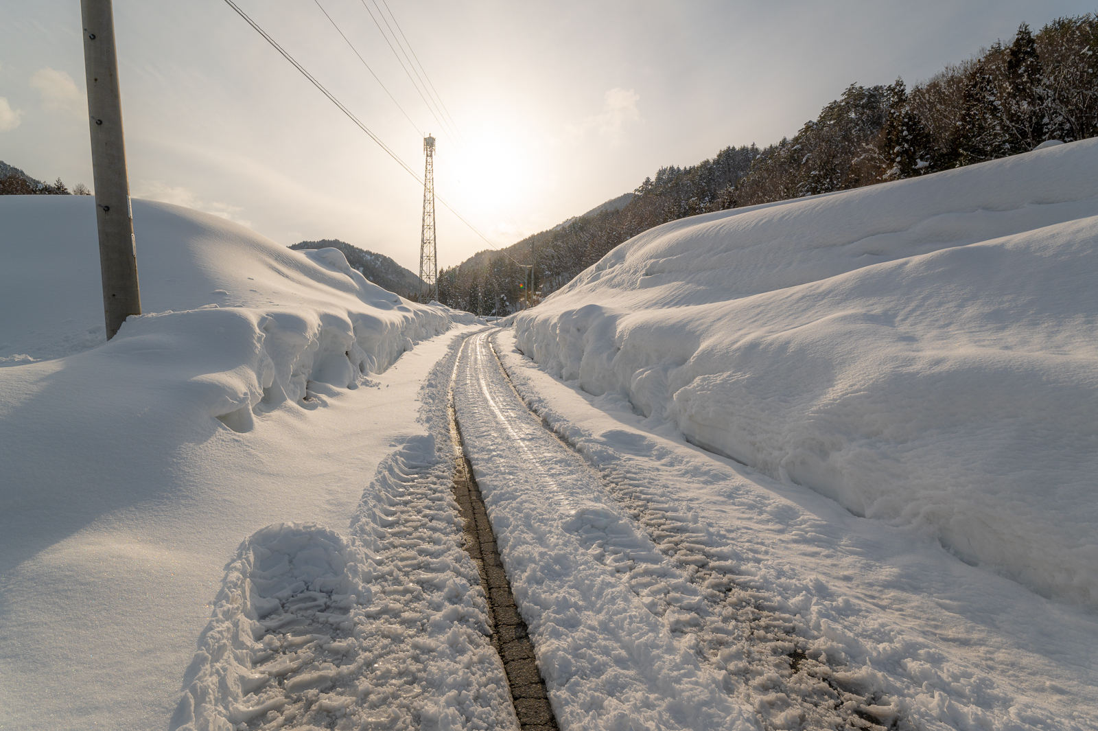 dokubutu on Twitter: "雪の世界が崩壊 していくのが かなしい。 https://t.co/M8xH4JMNsd" / Twitter