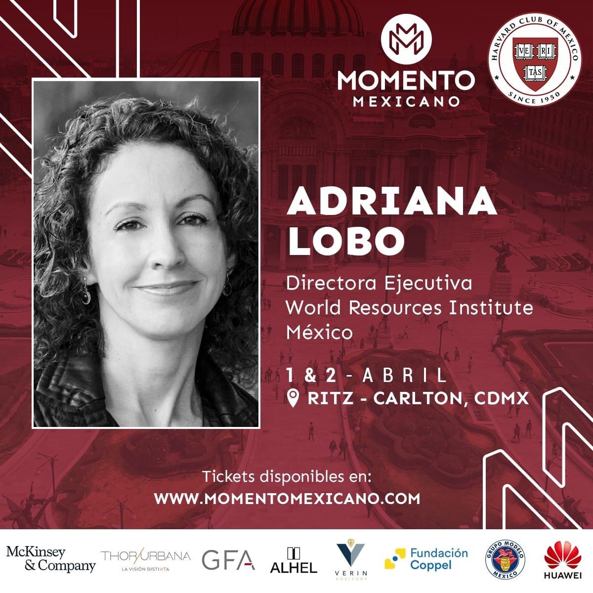 Momento Mexicano (@Momento_Mex) / Twitter