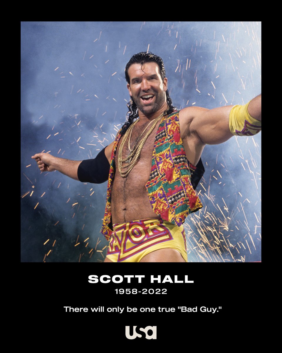 Scott Hall Meme