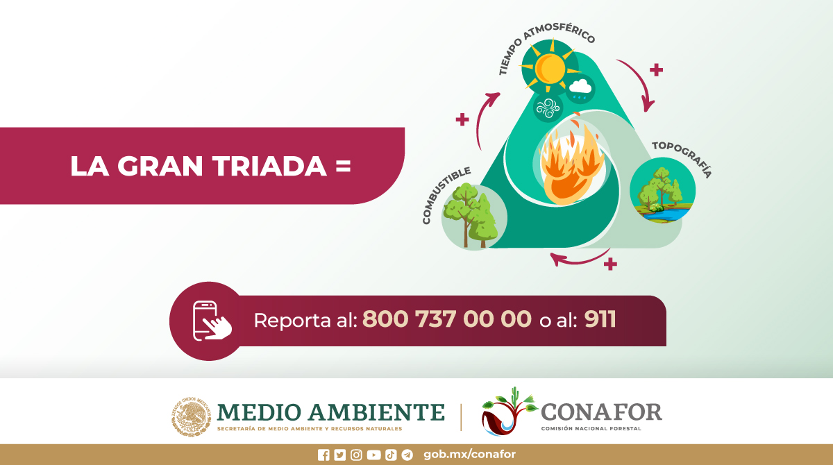 SEMARNAT México on Twitter: "#SomosMedioAmbiente | La gran tríada se forma de: 🌤️🌬️Tiempo ...