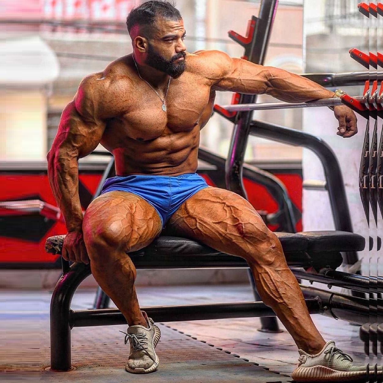 LoveHUGEMuscles on Twitter: "Ayman Magdy https://t.co/kIXCEiMcLT" / Twitter