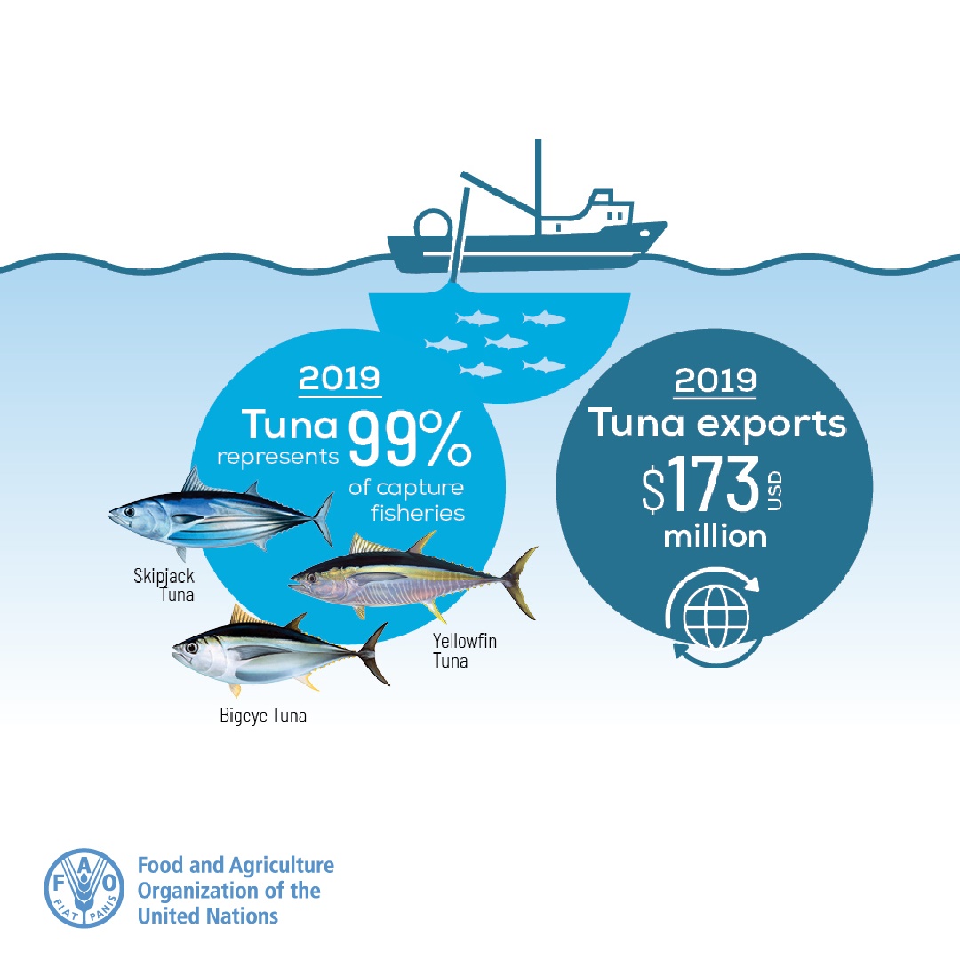 Tuna Fish Food Chain