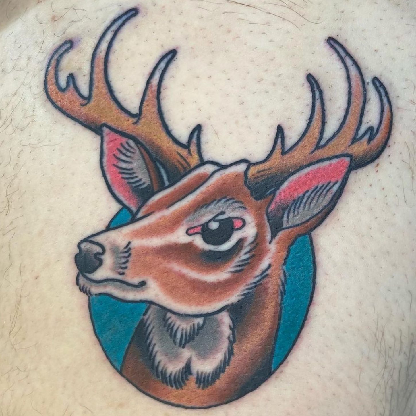 Traditional Stag Tattoo