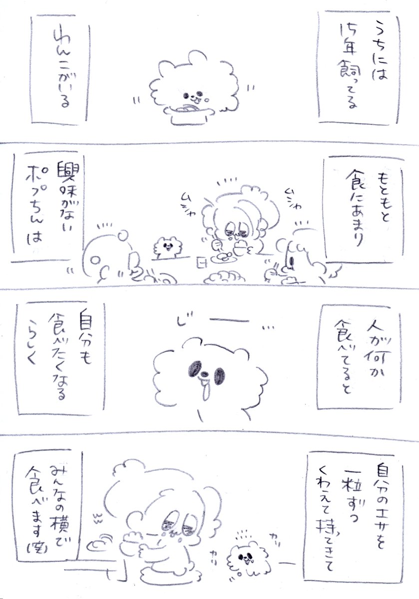 「うちのおばあワン😊 」大塚みちこ🥨9/3新刊「みみちゃんの走馬灯」9/3.COMITIA145【東5:K08b】の漫画