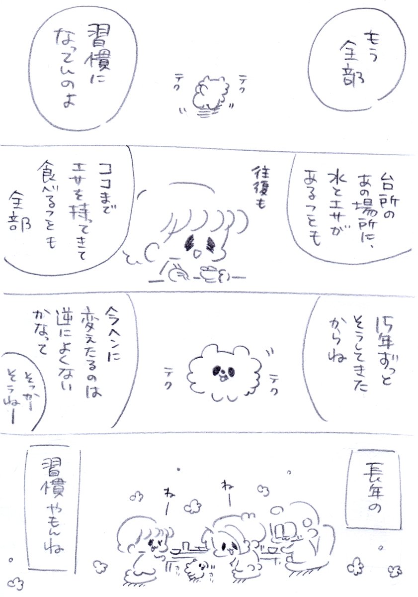 「うちのおばあワン😊 」大塚みちこ🥨9/3新刊「みみちゃんの走馬灯」9/3.COMITIA145【東5:K08b】の漫画