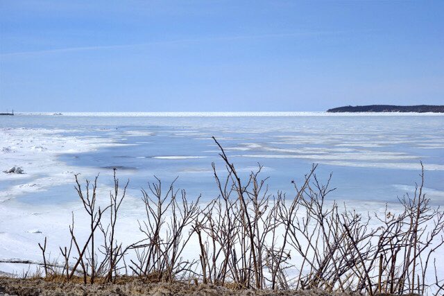 With the extremely cold temperatures lately some sea ice has been ...