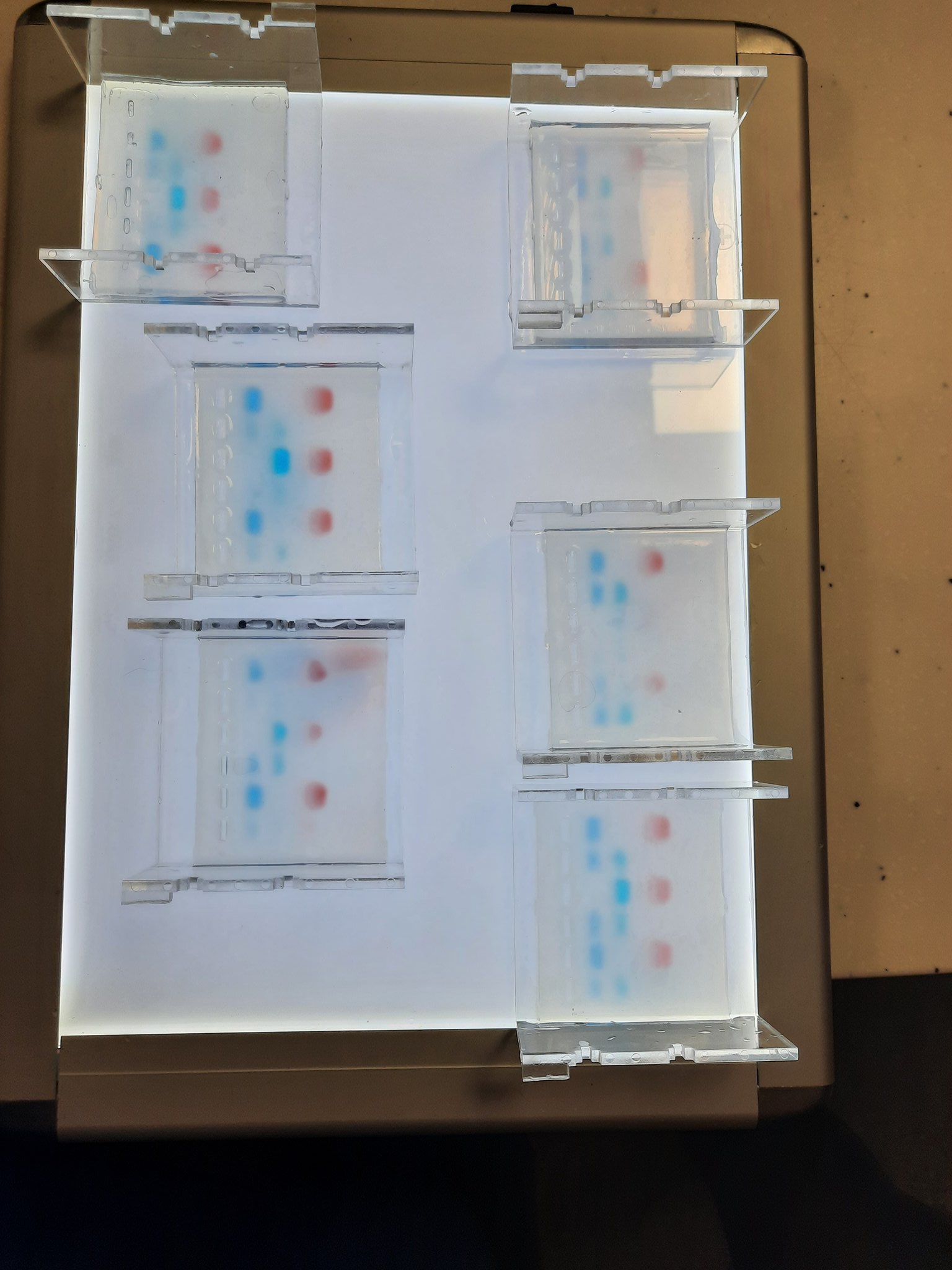 RGS Science Department on Twitter: "Upper Sixth exploring DNA ...